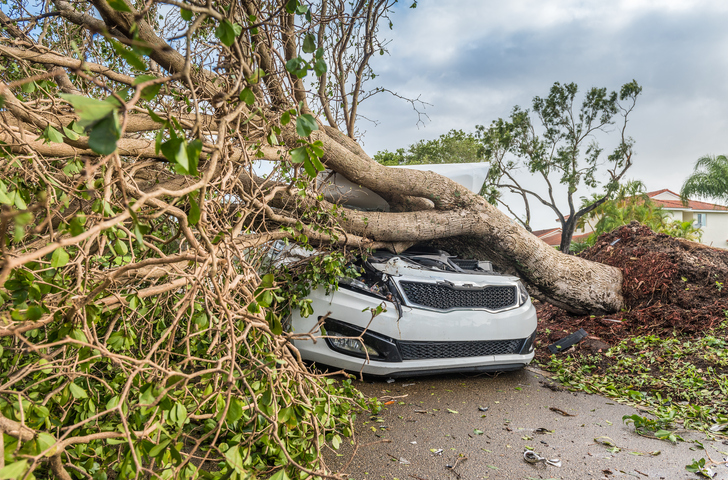 Hurricane Season and Rising Car Insurance Costs in Naples, Florida